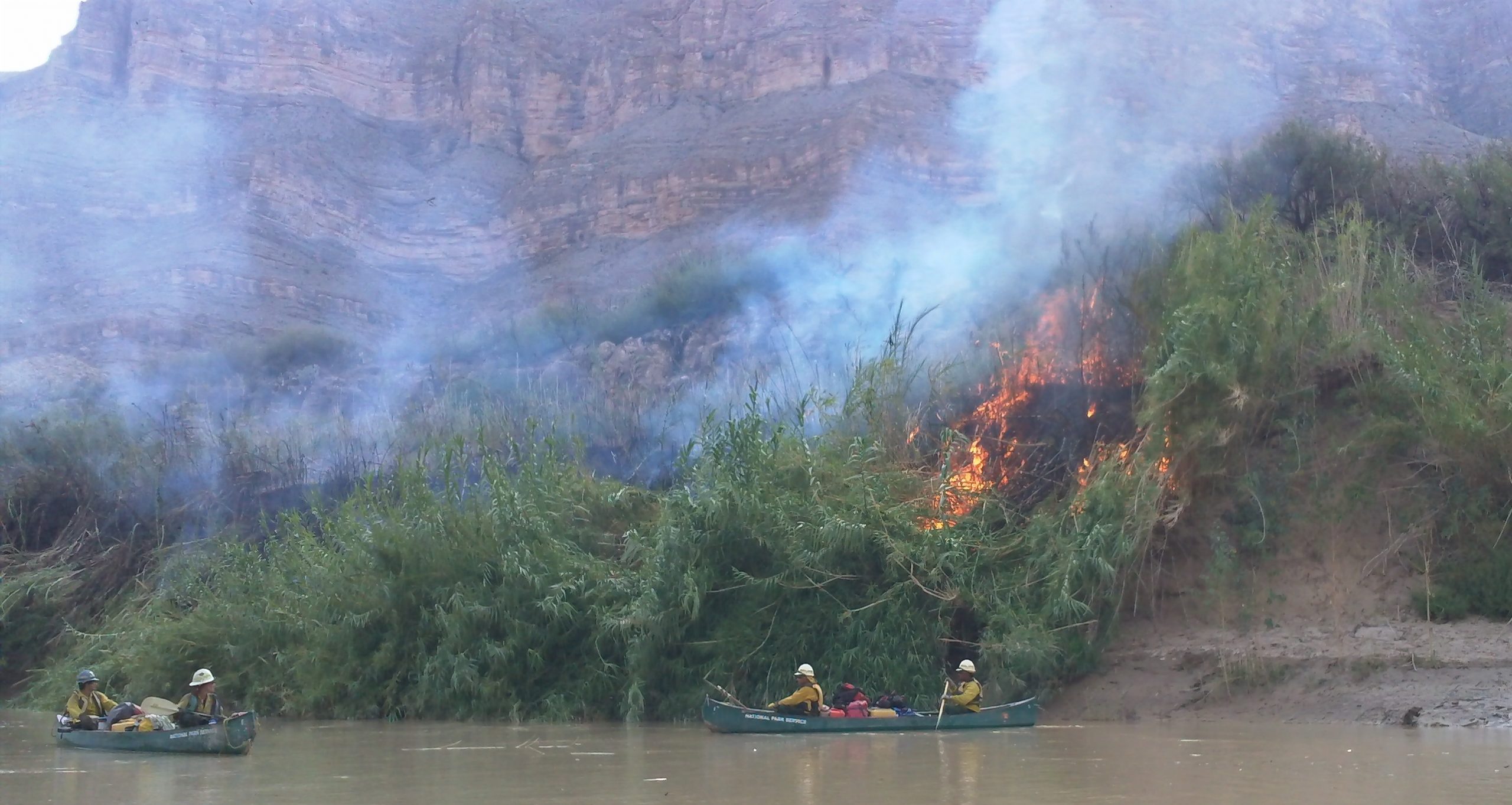 Native Plant Society on mission against invasive species – The Big Bend ...
