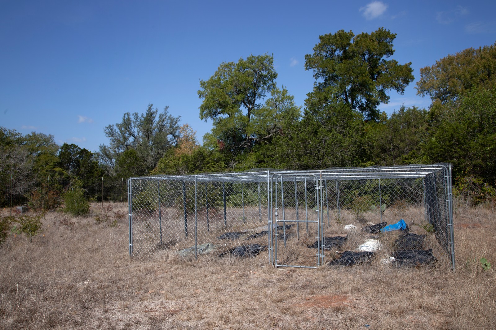 In rural Far West Texas, justices of the peace confront a death ...