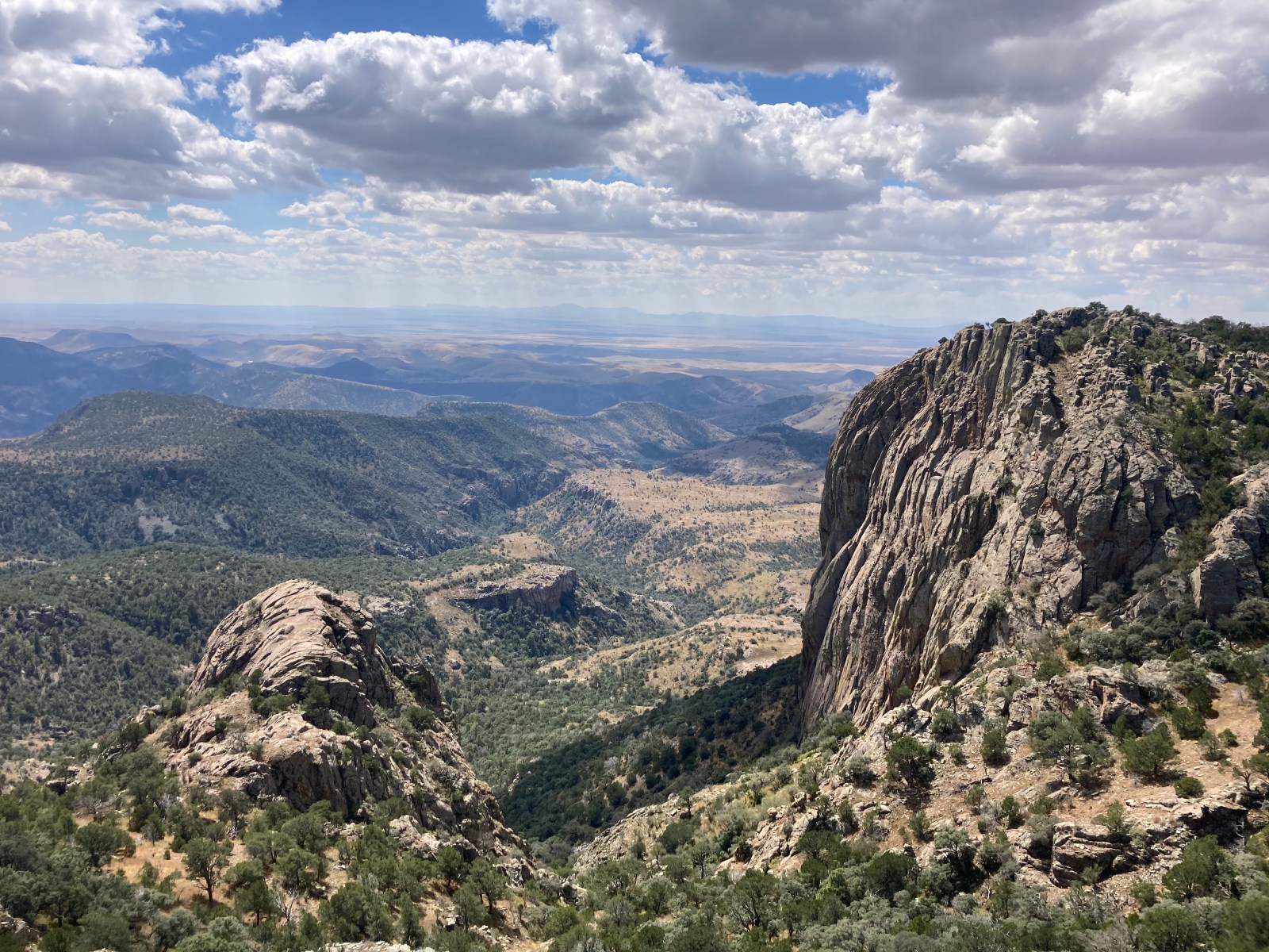 A Walk on the Wild Side: Fenced out of the Davis Mountains – The Big ...