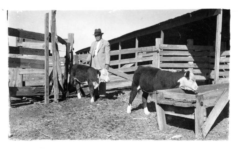 Storied Brite Ranch at heart of family’s multi-year legal battle – The ...