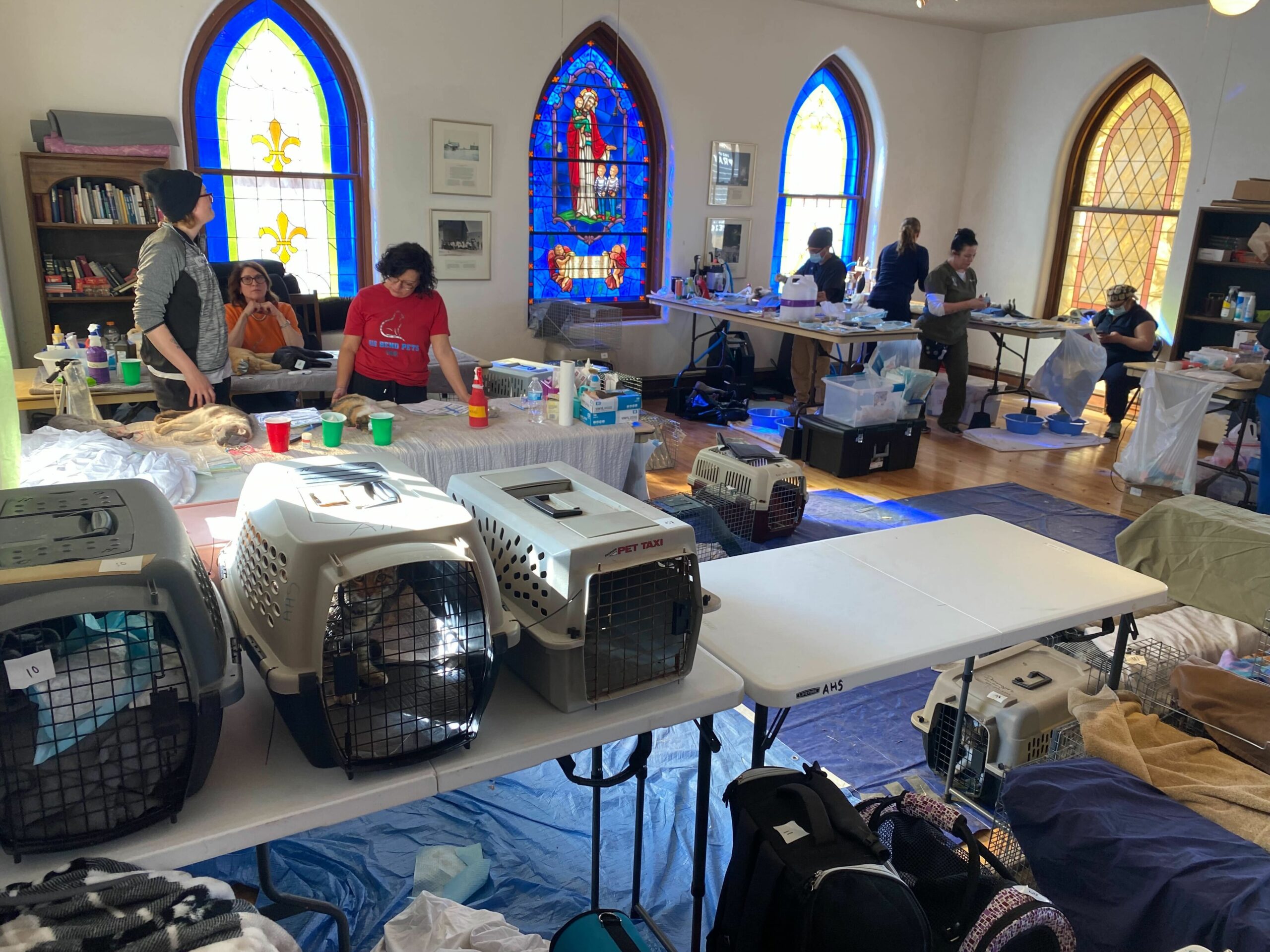 Alpine Humane Society donations down 50%, resulting in service cuts ...