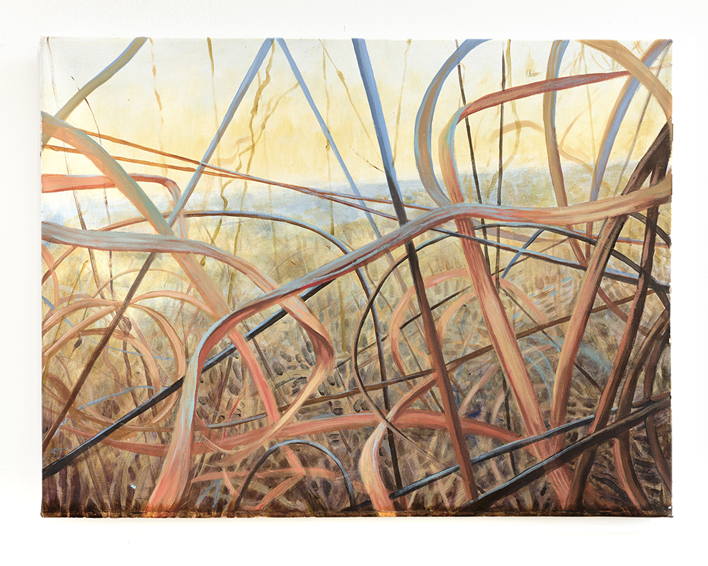 Marfa artist Malinda Beeman featured in El Paso Museum of Art Border ...