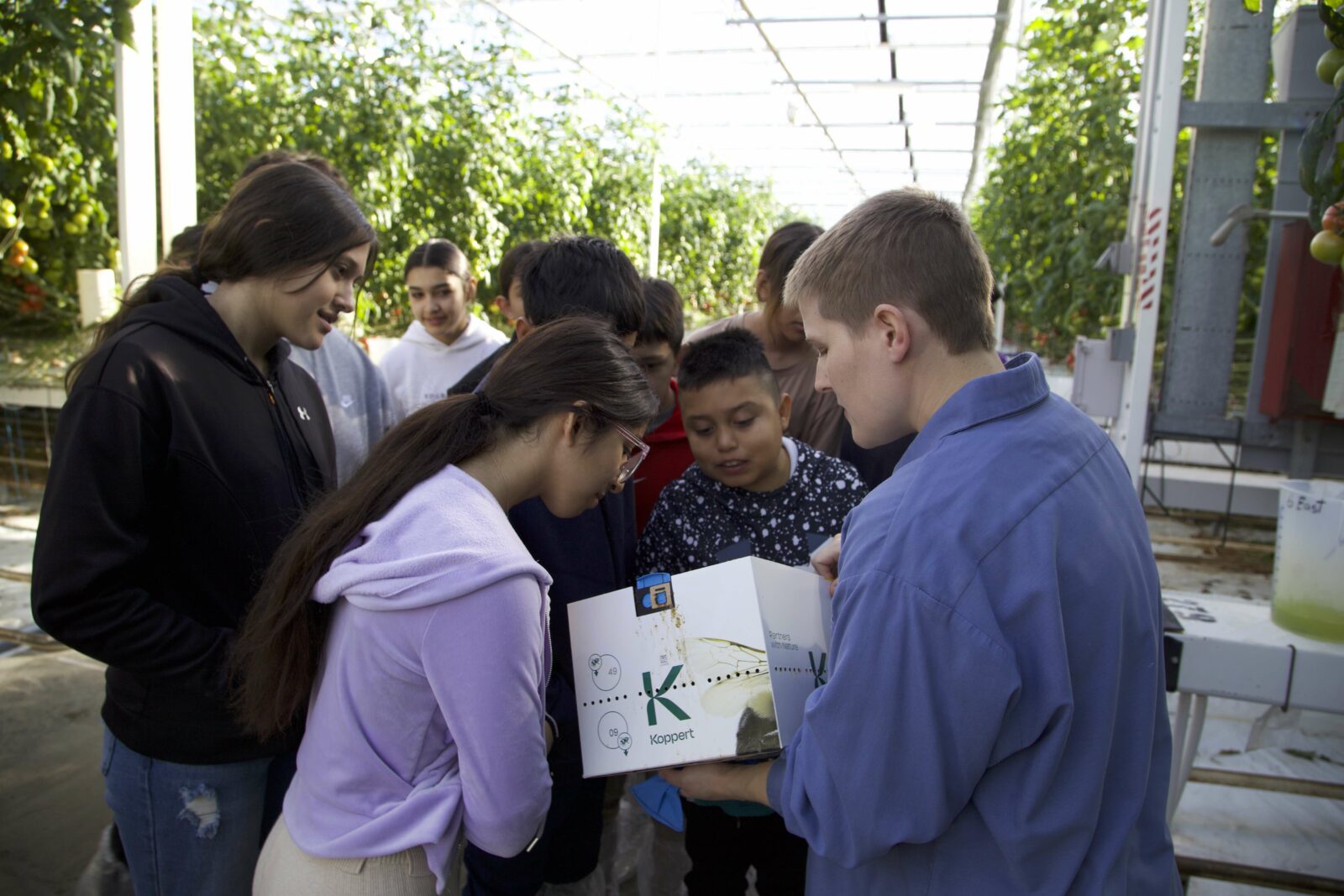 Marfa students cultivate vertical farming skills with classroom lessons ...