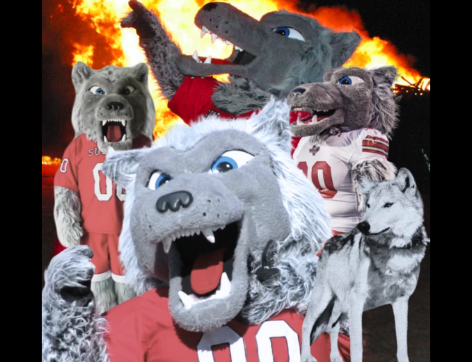 Sul Ross State University earns NCAA approval for 2nd provisional year ...