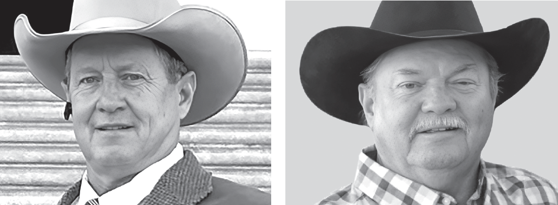 Jeff Davis judge race features 2 longtime officials – Big Bend Sentinel